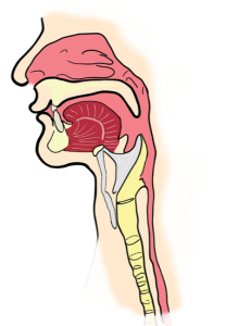 Hoarseness: Causes, Symptoms & Treatment - Best Ear Nose & Throat (ENT ...